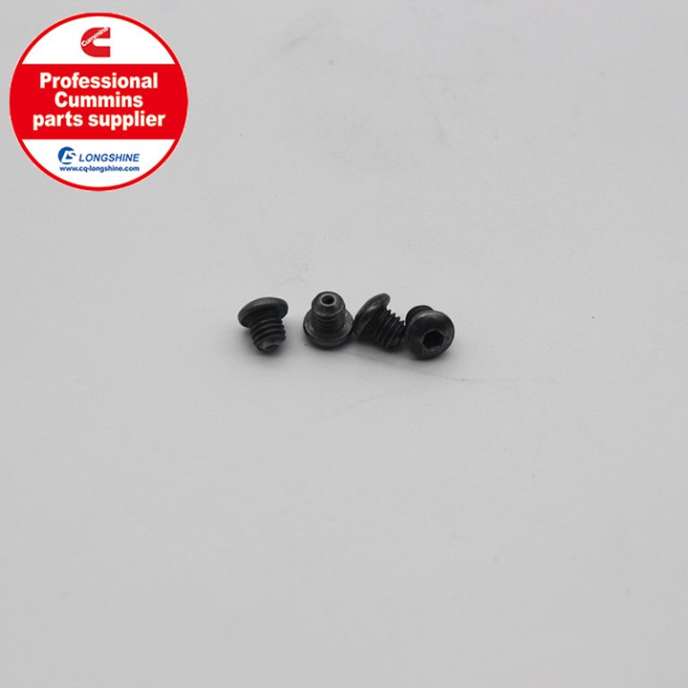 Cummins K19 KTA19 Injector Orifice Plug 3045008 - Longshine