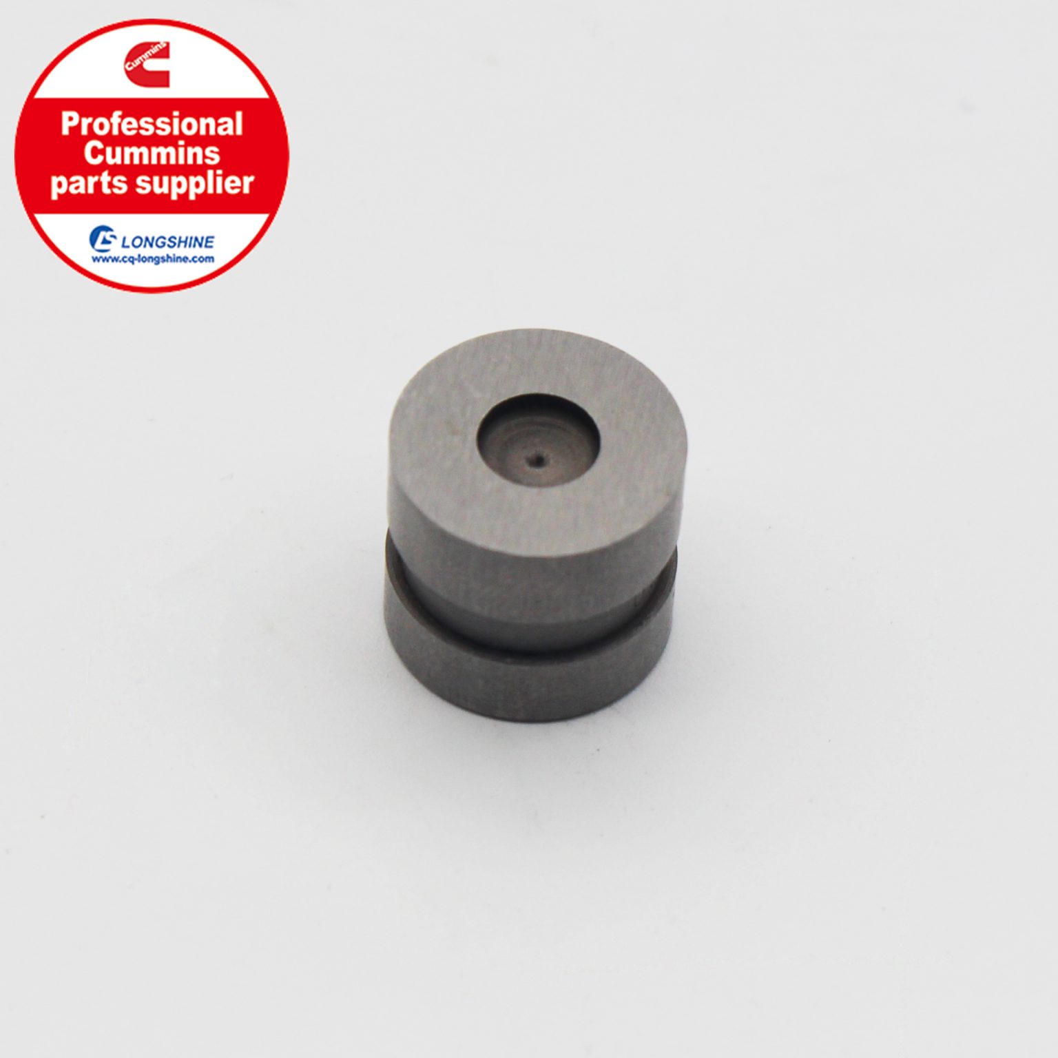 Cummins NT855 NTA855 Idle Spring Plunger 141633 - Longshine